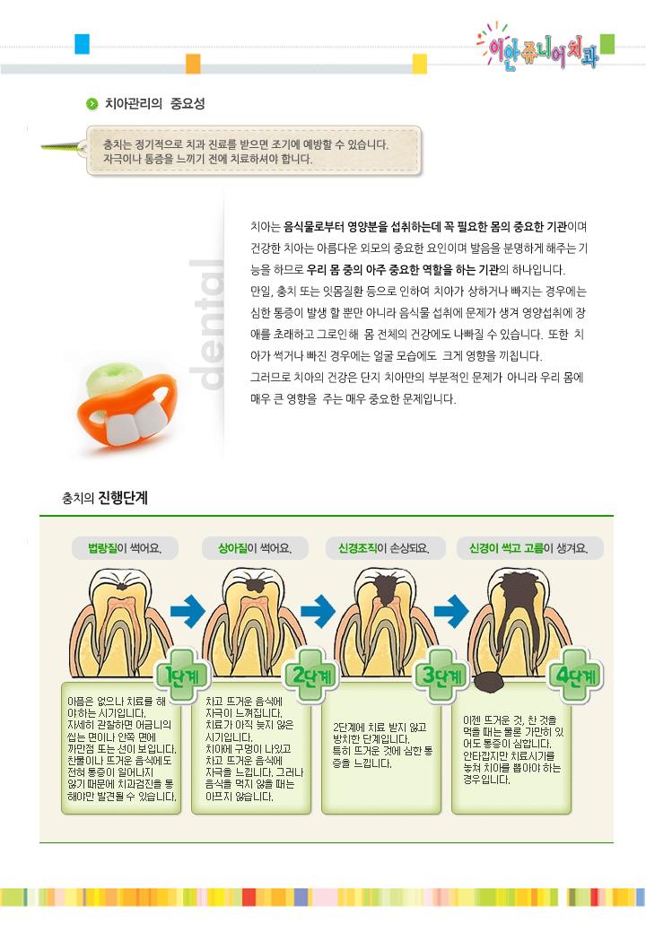 치아관리의 중요성 충치의 진행단계 치아의 구조법랑질상아질치수잇몸뼈 치조골잇몸 치은 치아가 하는 일앞니송곳니