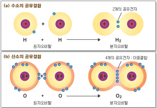 주기율표 공유결합 이온결합 전해질을 배우기전 기초쌓기 네이버 블로그