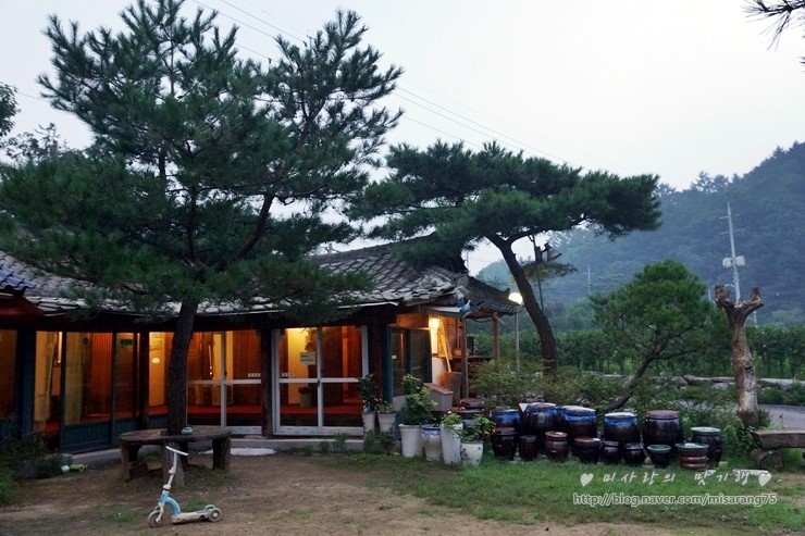 포천 광릉수목원맛집 100년전통 기와집 오리진흙구이 기와골 포천 지역 추천맛집 기와골 후기
