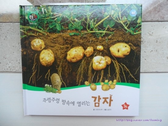 글뿌리 오감톡톡 자연관찰 주렁주렁 땅속에 열리는 감자 네이버 블로그