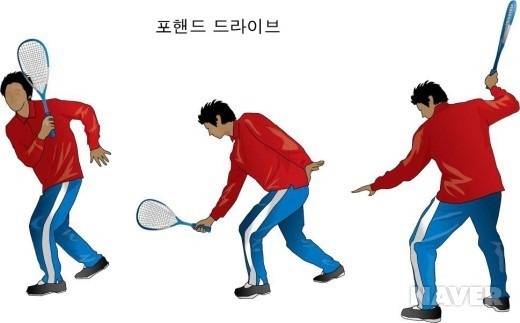 스쿼시 운동효과 스쿼시 다이어트 네이버 블로그