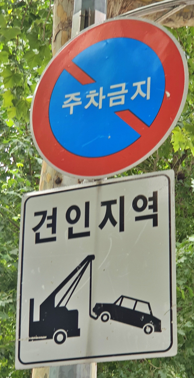 황색실선 황색점선 주차 노란실선 불법주차 기준 네이버 블로그