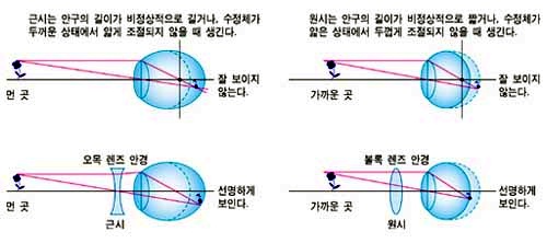 눈의구조와 카메라 근시와 원시 그리고 노안의 차이점 네이버 블로그