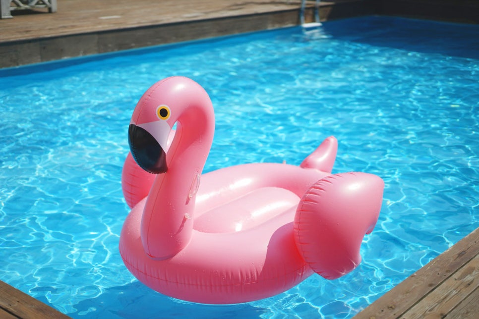 자이언트 플라밍고튜브 당일배송 : 백조튜브 : 네이버 블로그