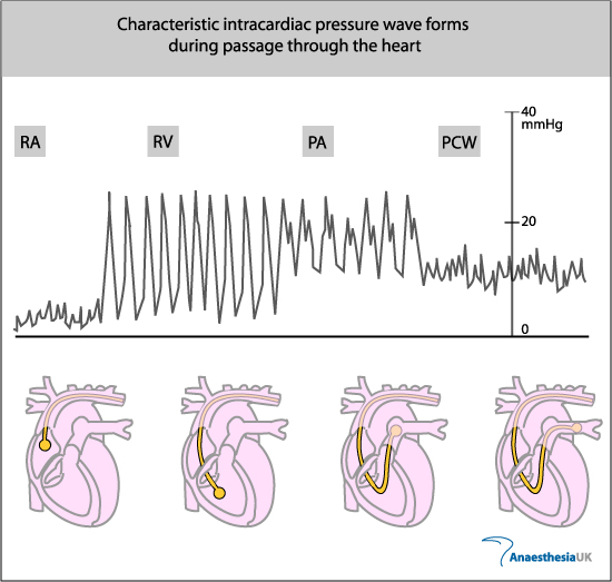 Physical assessment 2-2편 : 네이버 블로그
